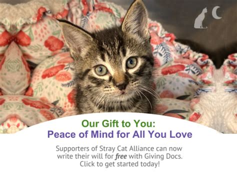 Trap Neuter Return Stray Cat Alliance