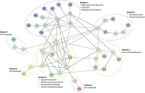 Reactome Functional Interaction Network Derived From The List Of Loci Download Scientific