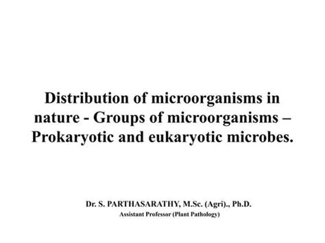 Prokaryotes And Eukaryotes Powerpoint Ppt Biological Sciences Science