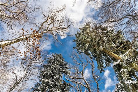 краски осени · бесплатная фотография от Photomonstr картинки и обои на рабочий стол