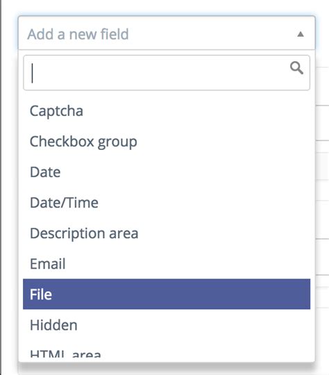 How To Create A File Field In Forms Webmecanik