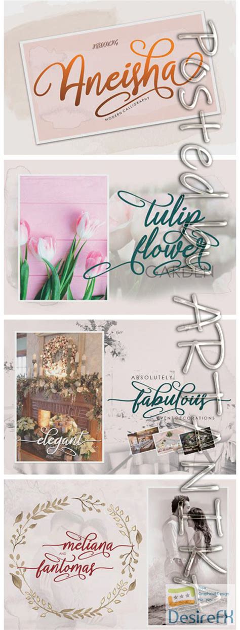 Download Aneisha Script Font DesireFX COM