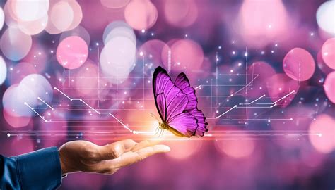 Digital Modernization Lemon Marketing Consultancy Ltd