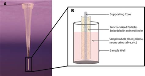 Figure 1 From Direct Analysis In Real Time Dart ® Ms Analysis Of Fentanyl And Related
