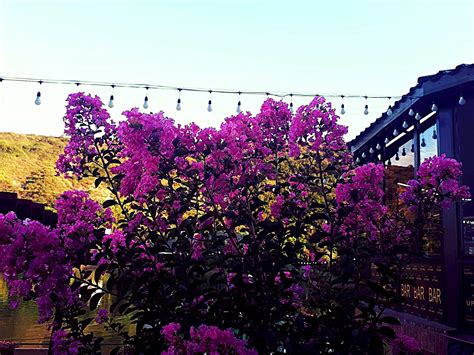 Uptown Space • აფთაუნ სფეისი Home Facebook