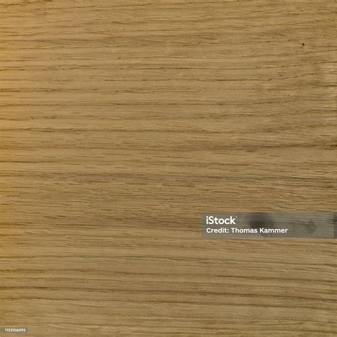 나무는 닦 았 및 닦 았 오크 나무 구조 참나무 바닥 또는 판자 바닥에 대 한 목재 0명에 대한 스톡 사진 및 기타 이미지 0명 나뭇결 무늬 단풍나무속 Istock
