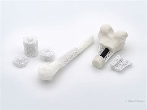 Bellasenos Unveils 3d Printed Scaffolds For Bone Reconstruction 3d Printing