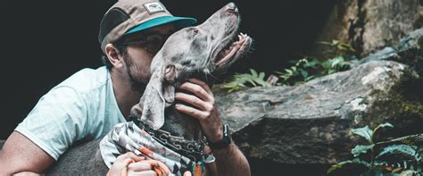 First Pass Yield Vs Rolled Throughput Yield