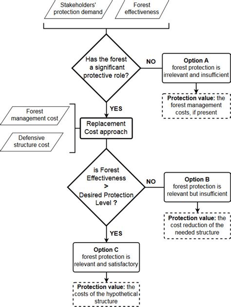 Conceptual Framework Of The Asforesee Alpine Space Forest Ecosystem