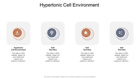Hypertonic Cell Environment In Powerpoint And Google Slides Cpb PPT Sample