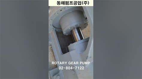 국내 기술로 만든 로터리 기어펌프 Youtube