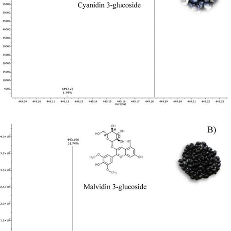 Uplc Esiqtofms Identification A Ms Spectrum Of Blue Corn Extract