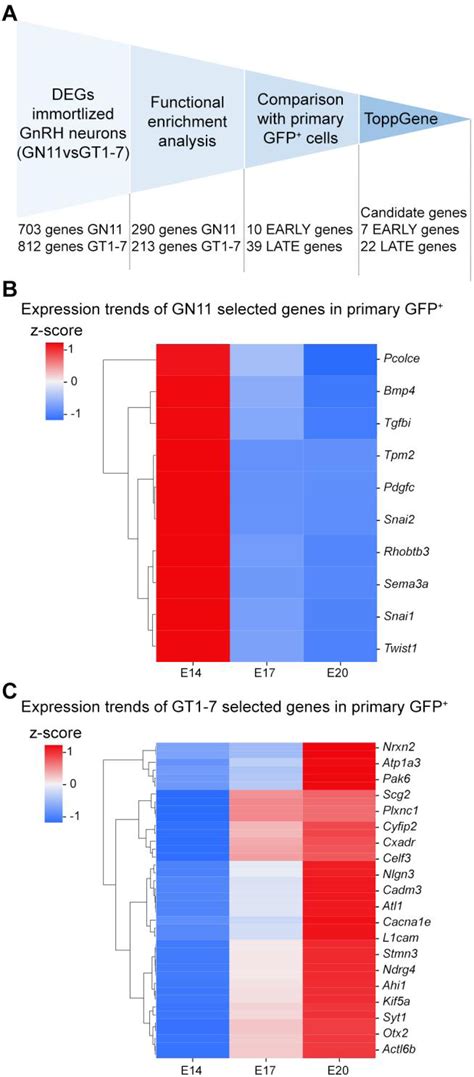 Filtering Analyses Revealed 29 Candidate Genes That Differently