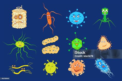 좋은 박테리아와 나쁜 박테리아 흰색 절연 문자 만화 재미 있는 Bacterias 세균 플랫 만화 스타일에서의 집합입니다 좋은 나쁜 세균입니다 장의 박테리아 창 자 그리고 창