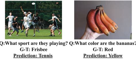 [논문 리뷰] Overcoming Language Priors For Visual Question Answering Based On Knowledge Distillation