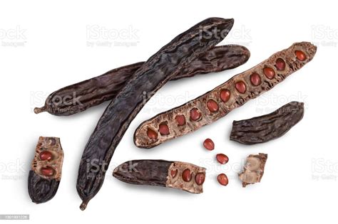 잘 익은 캐롭 포드와 콩은 클리핑 경로와 전체 깊이의 필드가있는 흰색 배경에 고립되어 있습니다 맨 위 보기입니다 플랫 레이 0명에 대한 스톡 사진 및 기타 이미지 Istock