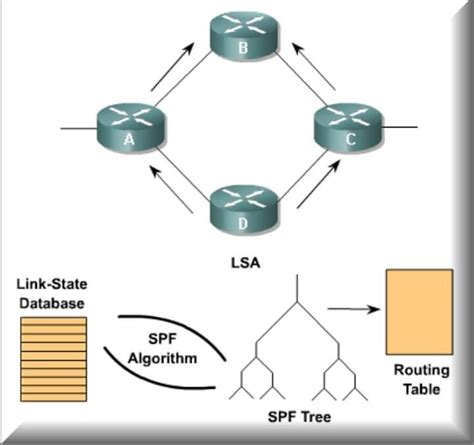 Mustafa Alsorkhi On Linkedin Open Shortest Path First Ospf Ospf Is A