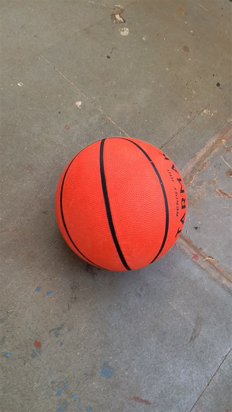 Basketball Object Detection Dataset By Cybrotics