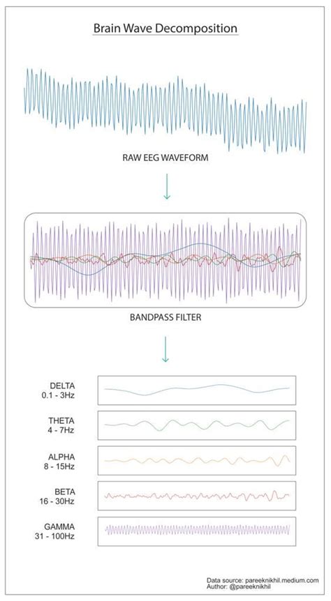 Eeg 101 Using Openbci Ultracortex By Nikhil Pareek Sep 2022 Towards Data Science
