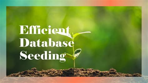 leveraging factories and seeders in laravel for efficient database seeding