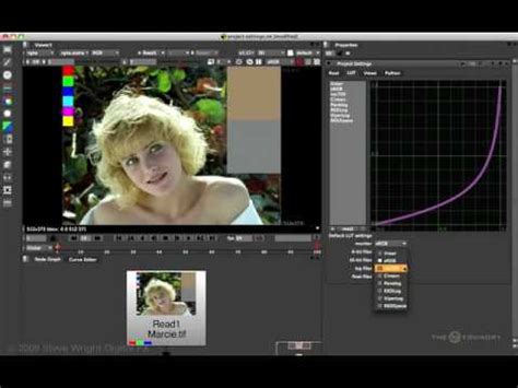 Nuke Basic Workflows Colour Management Part 2 Video Lecture Create Visual Effects With