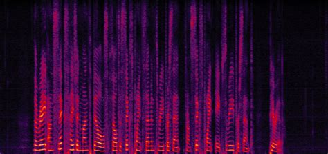 [demo]flowse Flow Matching Based Speech Enhancement Seongq