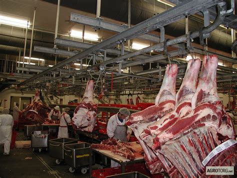 Продам ОБОРУДОВАНИЕ для мясопереработки и убойного цеха, Луганская обл ...