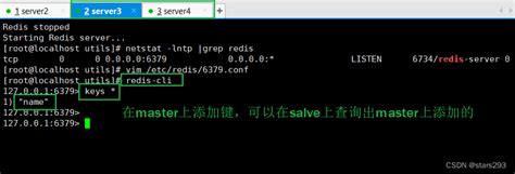 Redis数据库（三）——（主从复制、哨兵模式）redis主从模式哨兵模式原理 Csdn博客
