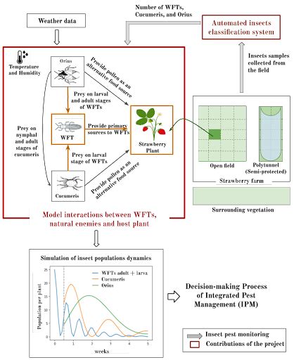 Towards Automatic Monitoring And Population Dynamics Modelling Of
