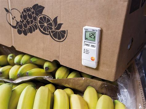 Temperature Data Logger For Temperature Control Testo Inc