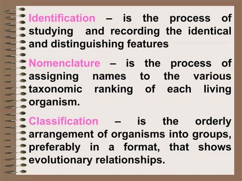 Bacterial Classificationpdf