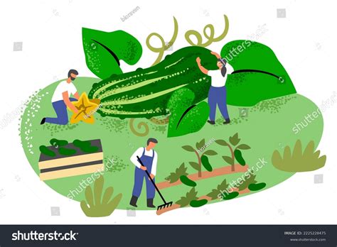 Cucumber Plants Over 31 982 Royalty Free Licensable Stock Vectors And Vector Art Shutterstock