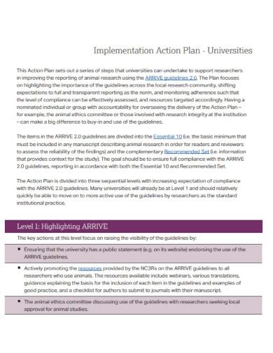 10 University Action Plan Examples To Download