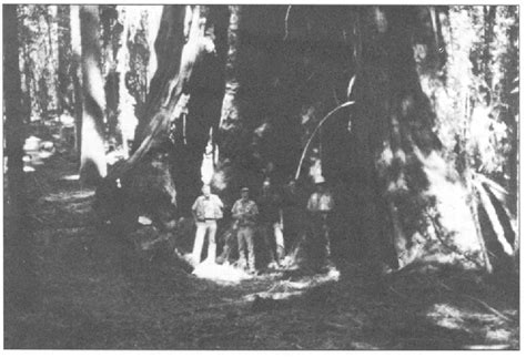 Groves Classification System Semantic Scholar