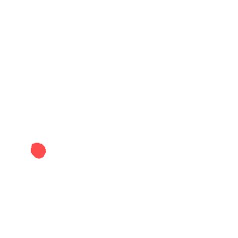 Cbis Ddsm Dataset Ninja