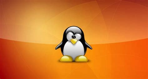 The Linux Survival Guide Gearburn
