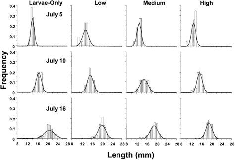 Length Frequency Distributions In Mm Size Classes Of Larval Download Scientific Diagram