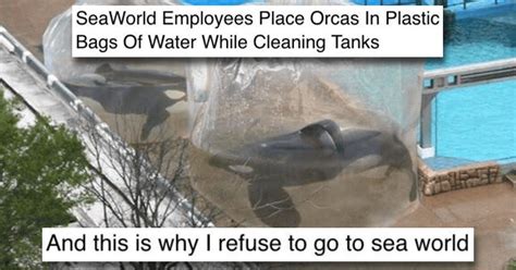 These People Thought Satirical Headlines Were Real And It Is Quite Hilarious