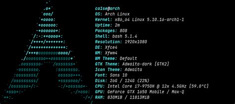 Ram Display Error · Issue 704 · Kittykattscreenfetch · Github