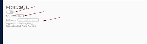 Hướng Dẫn Sử Dụng Chức Năng Redis Manager Trên Hosting Vinahost