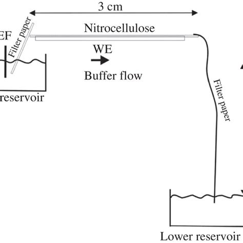 The Experimental Setup Of The Paper Based Analytical Device For