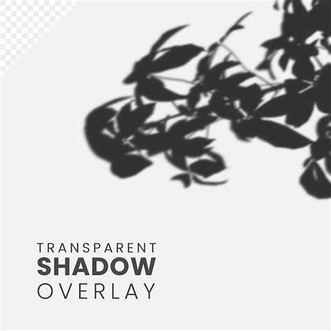 Premium PSD Transparent Tree Shadow Overlay Template