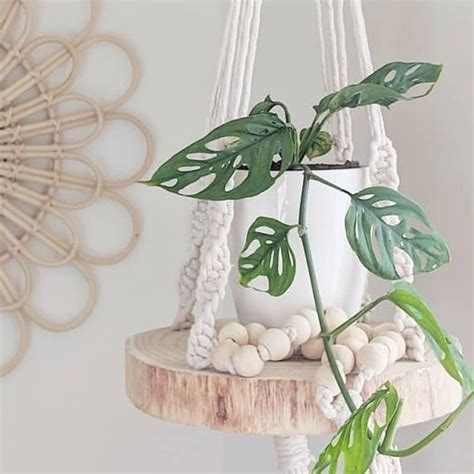 Macrame Hanging Shelf Macramè Shelf Macramè Hanging Decor Etsy