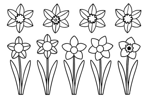 Premium Vector Daffodil Line Art