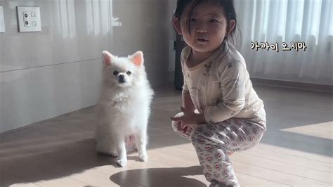 애개육아ㅣ 25개월 아기랑 강아지는 무슨 이야기를 할까🐶👧🏻 Youtube