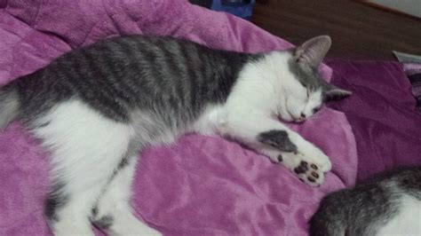 Haley Bailey Haley Bailey Added A New Photo