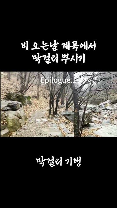 ↑풀영상 ↑비 소리 안주로 막걸리 한 잔 하시죠 막걸리 막걸리한잔 술 술먹방 Fyp Pov Youtube