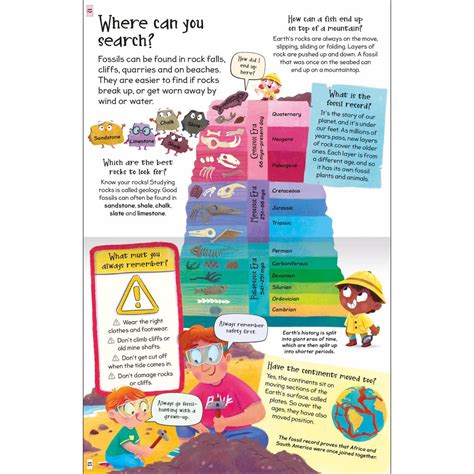 Curious Questions And Answers About Fossils Peekaboo