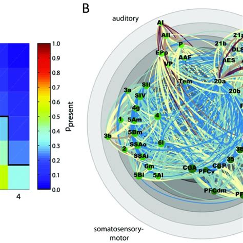 A Predictive Model Of The Cat Cortical Connectome Based On Download Scientific Diagram