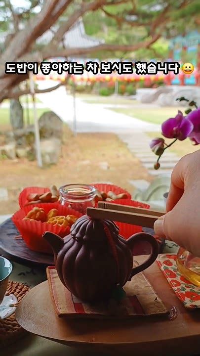 😱😘😄👍 기쁨 행복 감동의 도가니 ~♡ 차와 명상 옥련암굿~데이~ Youtube